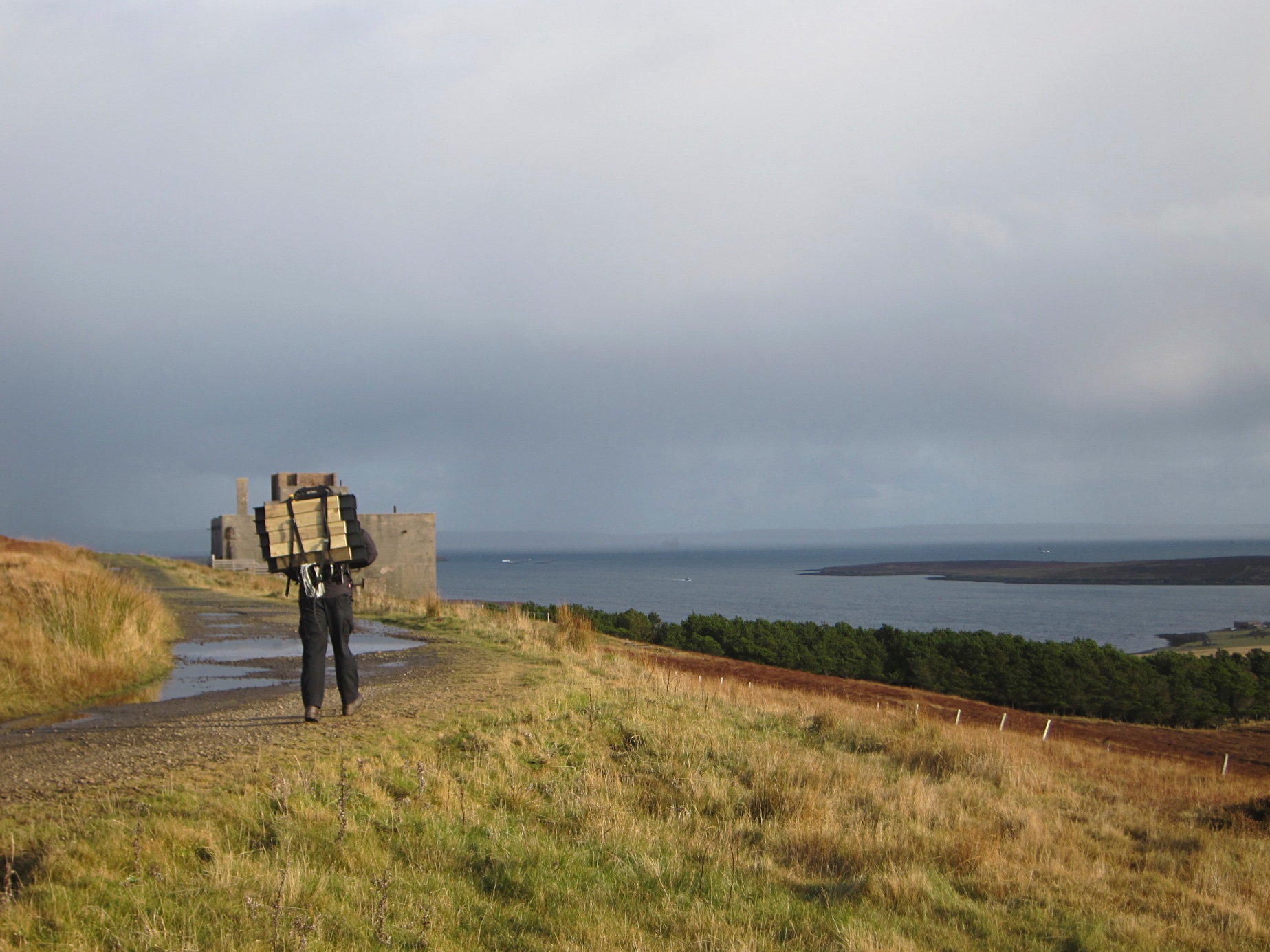 More than £4 million pledged to save Orkney’s native wildlife