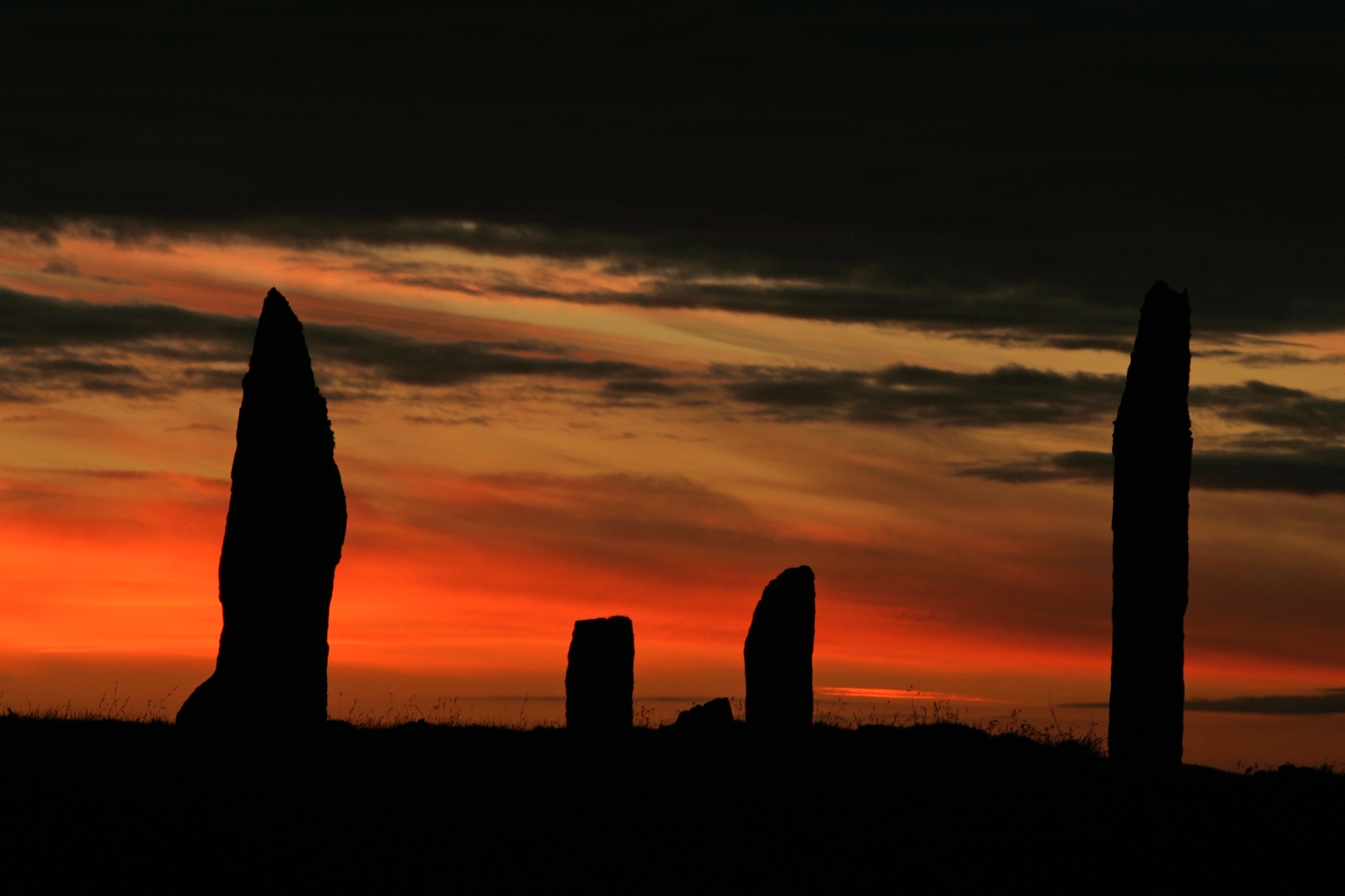 Experts say Orkney could be stoat-free by 2030