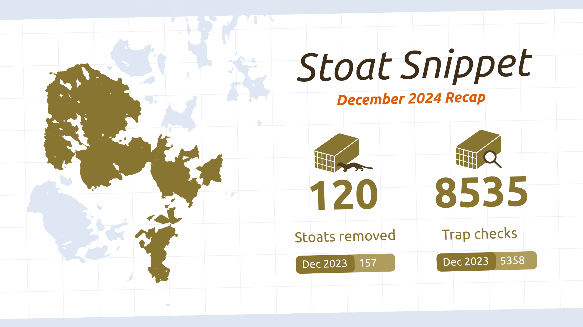 Stoat Snippet: December 2024 Recap | Orkney Native Wildlife Project