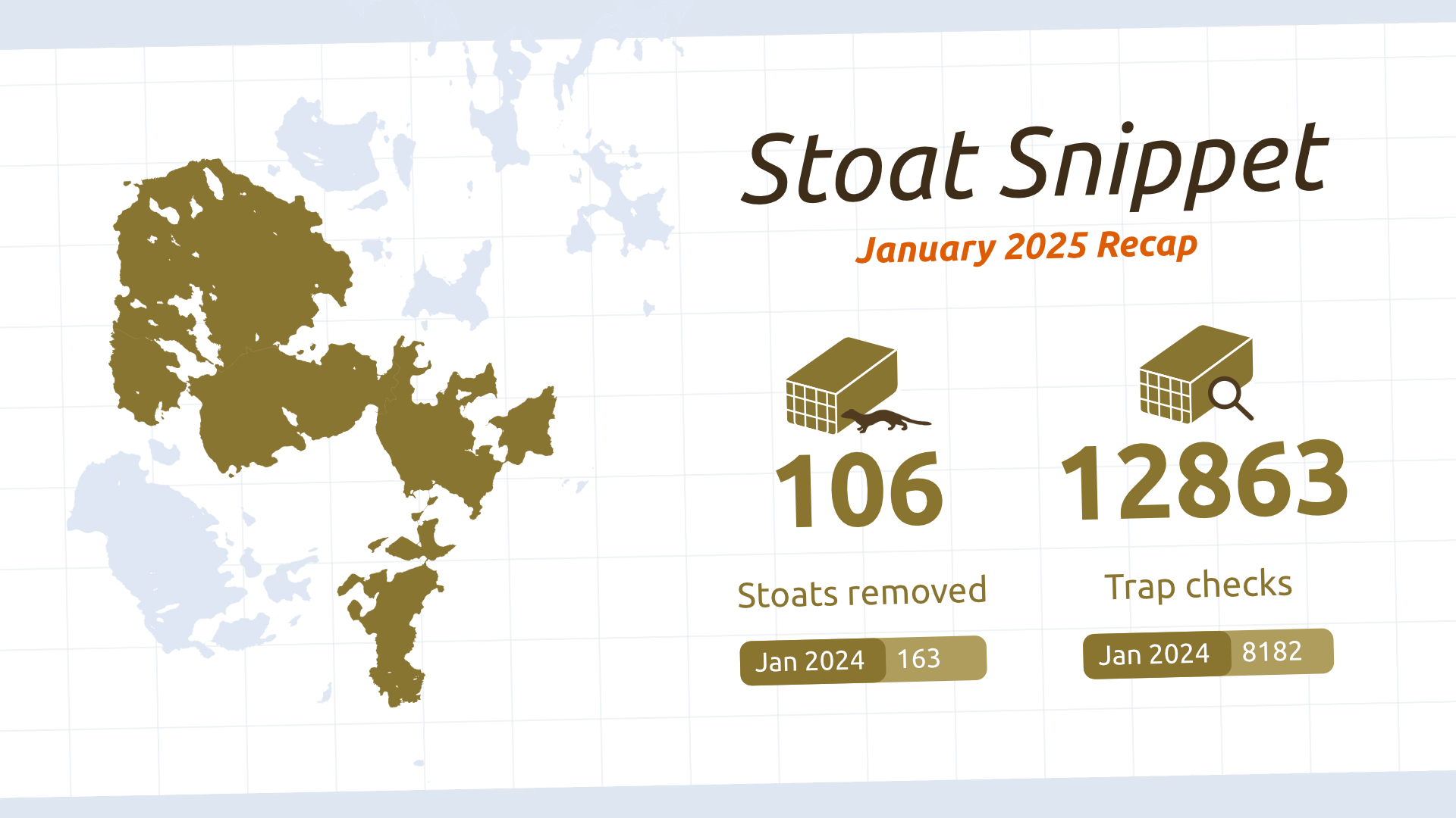 Stoat Snippet: January 2025 Recap | Orkney Native Wildlife Project
