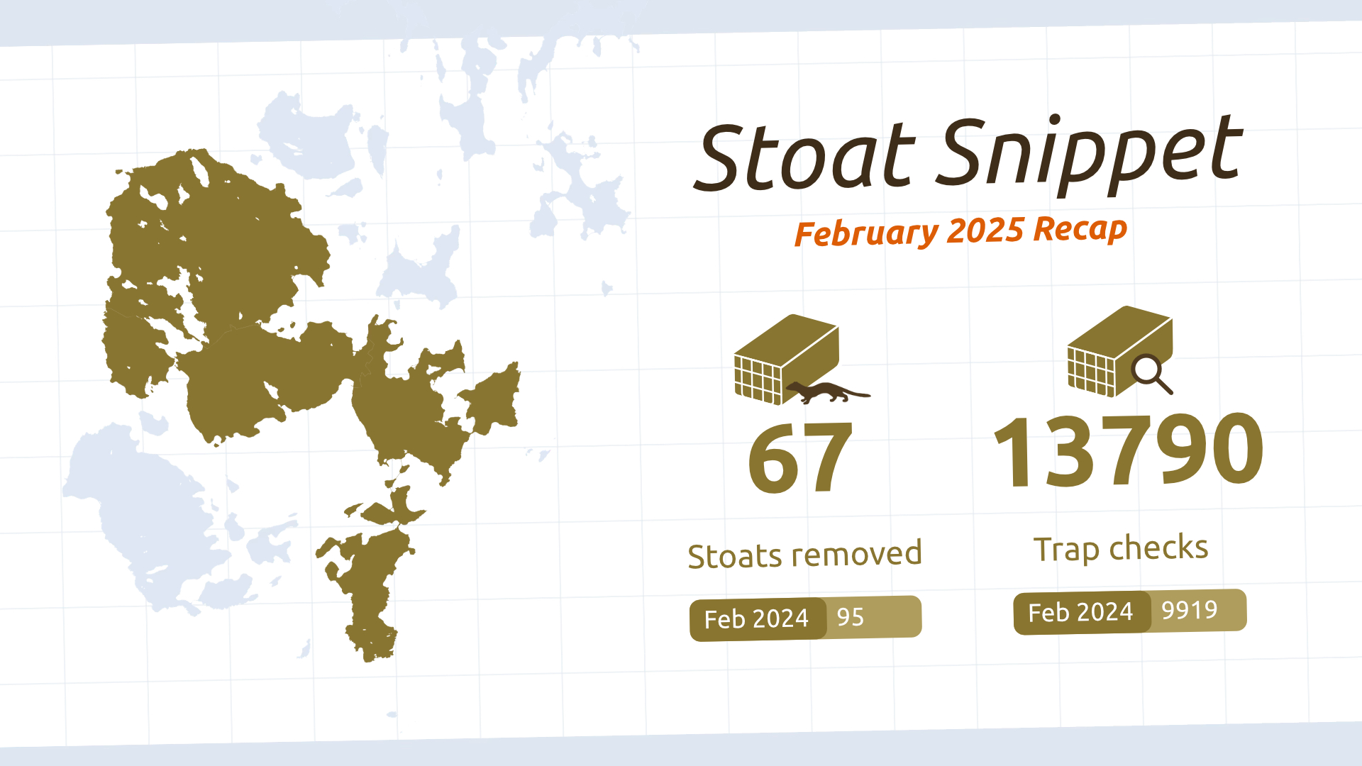 Stoat Snippet: February 2025 Recap | Orkney Native Wildlife Project