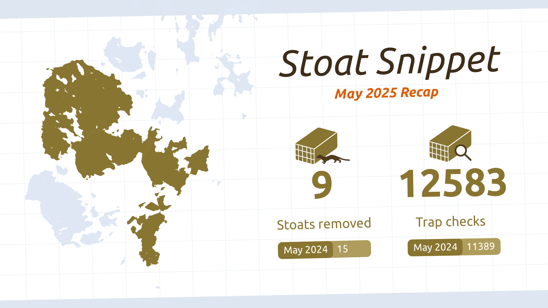 Stoat Snippet: May 2025 Recap | Orkney Native Wildlife Project