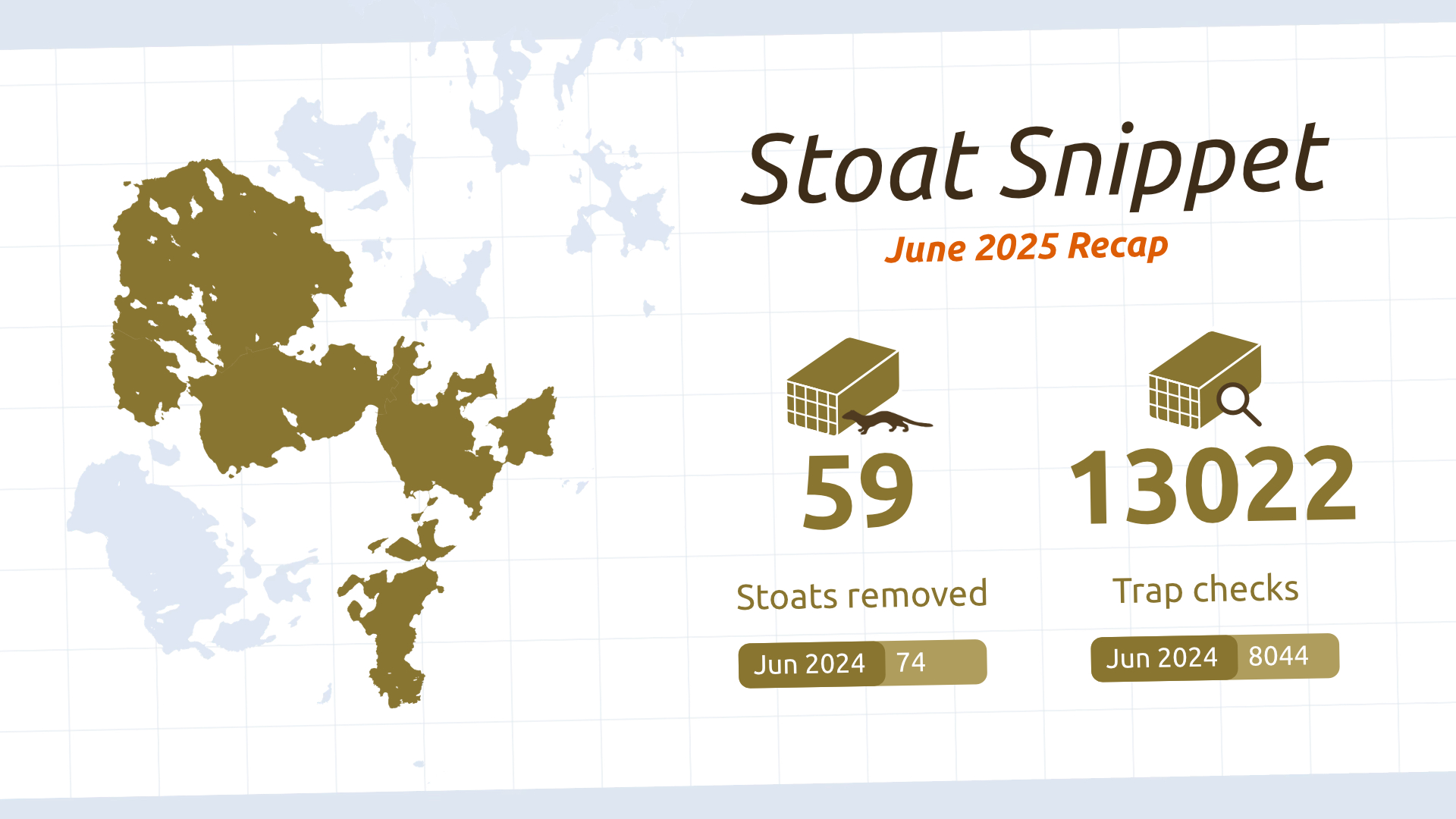 Stoat Snippet: June 2025 Recap | Orkney Native Wildlife Project