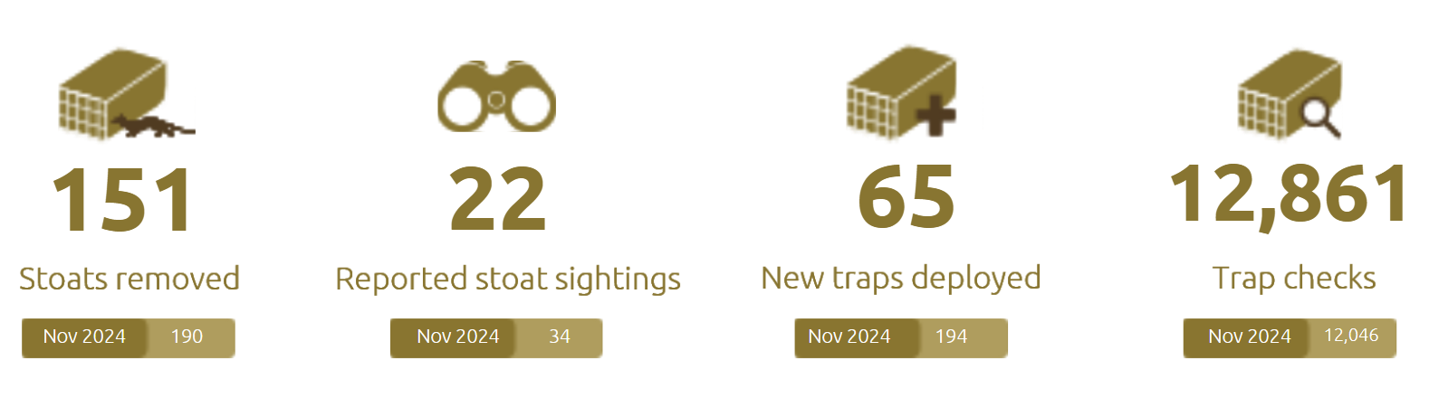 Stoat Snippet: November 2025 Recap | Orkney Native Wildlife Project