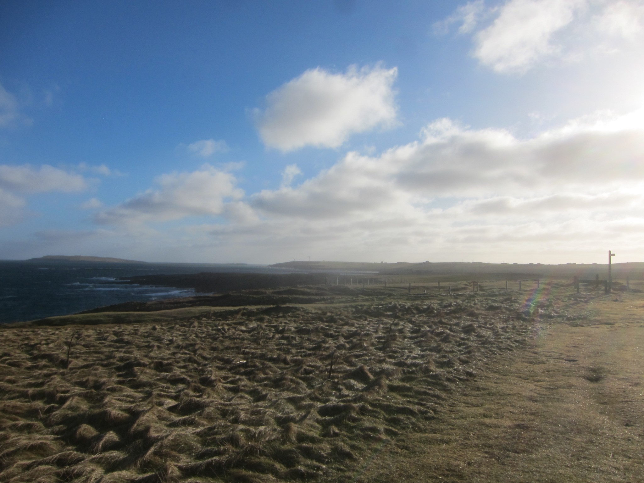 Deerness drop-in | Orkney Native Wildlife Project